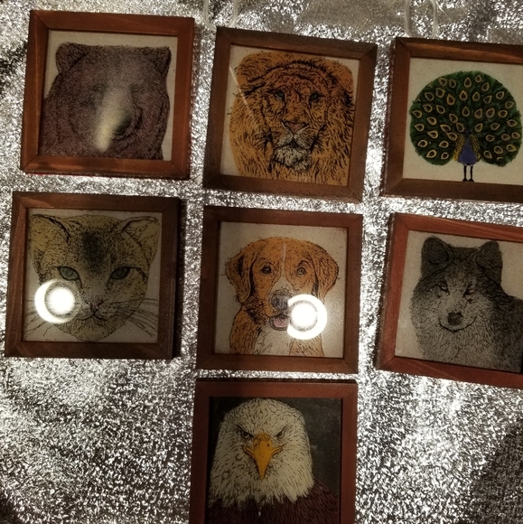 Kitchen | 7 Unique Animal Design Crushed Gems Coaster Set | Poshmark
